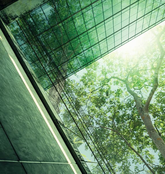 Growth in ESG regulation
