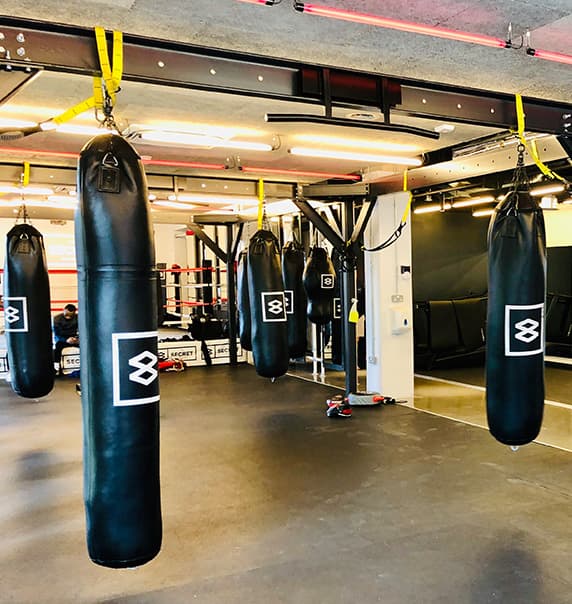 Spotlight on The Secret Boxing Gym